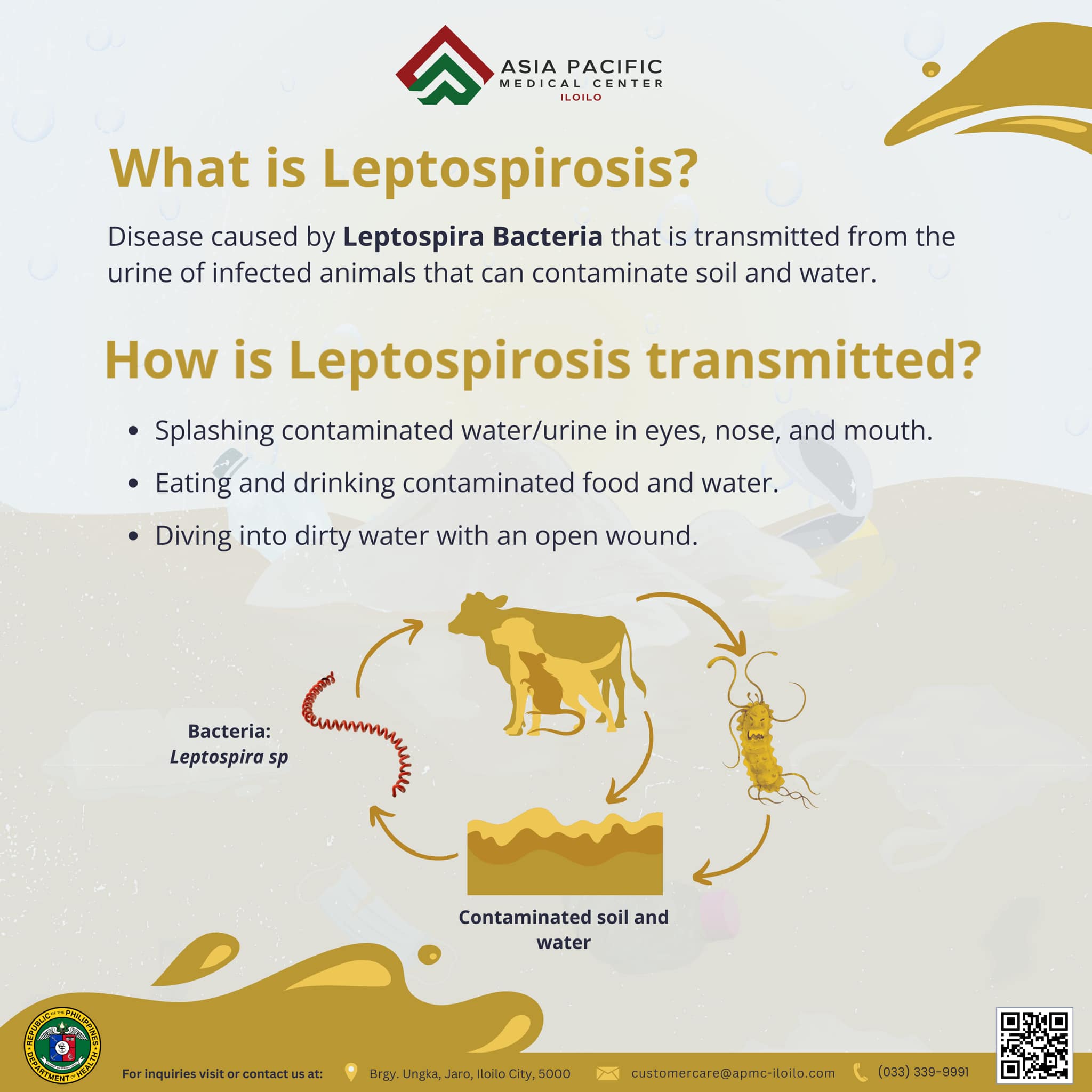 Must-Know Facts on Leptospirosis – APMC Iloilo
